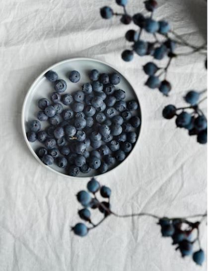 Timeline Vjetor - Conserve & Eat